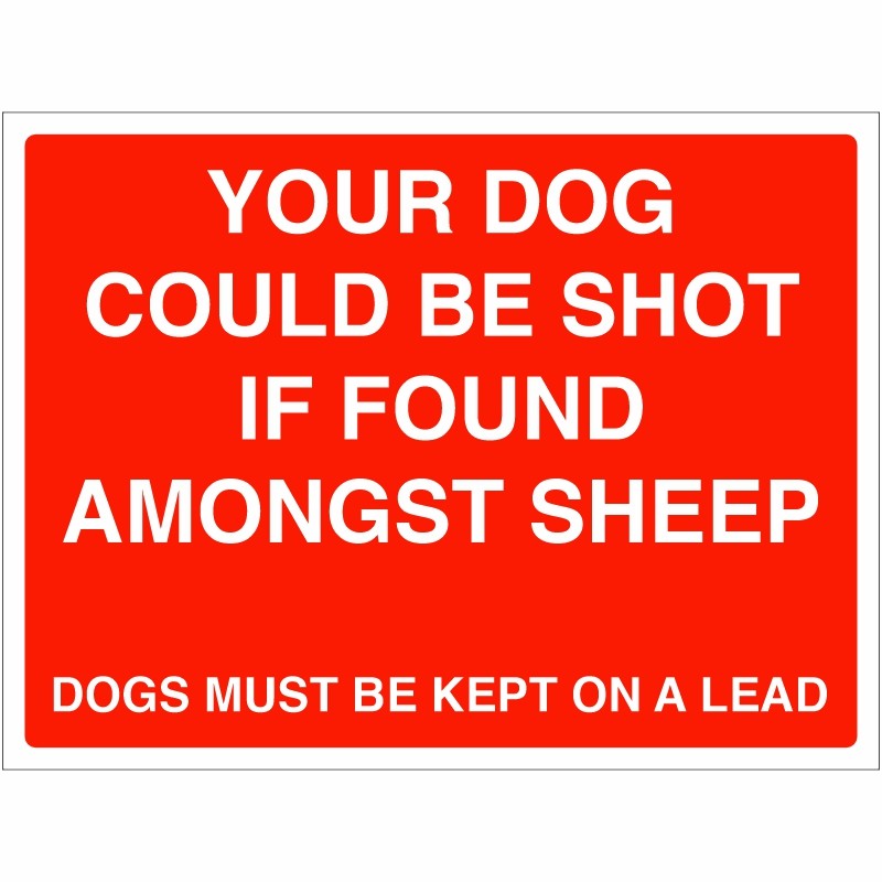 Your Dog Could Be Shot If Found Amongst Sheep Sign
